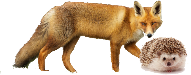 Should EHS Professionals Be a Fox or a Hedgehog? A Pragmatic Approach ...